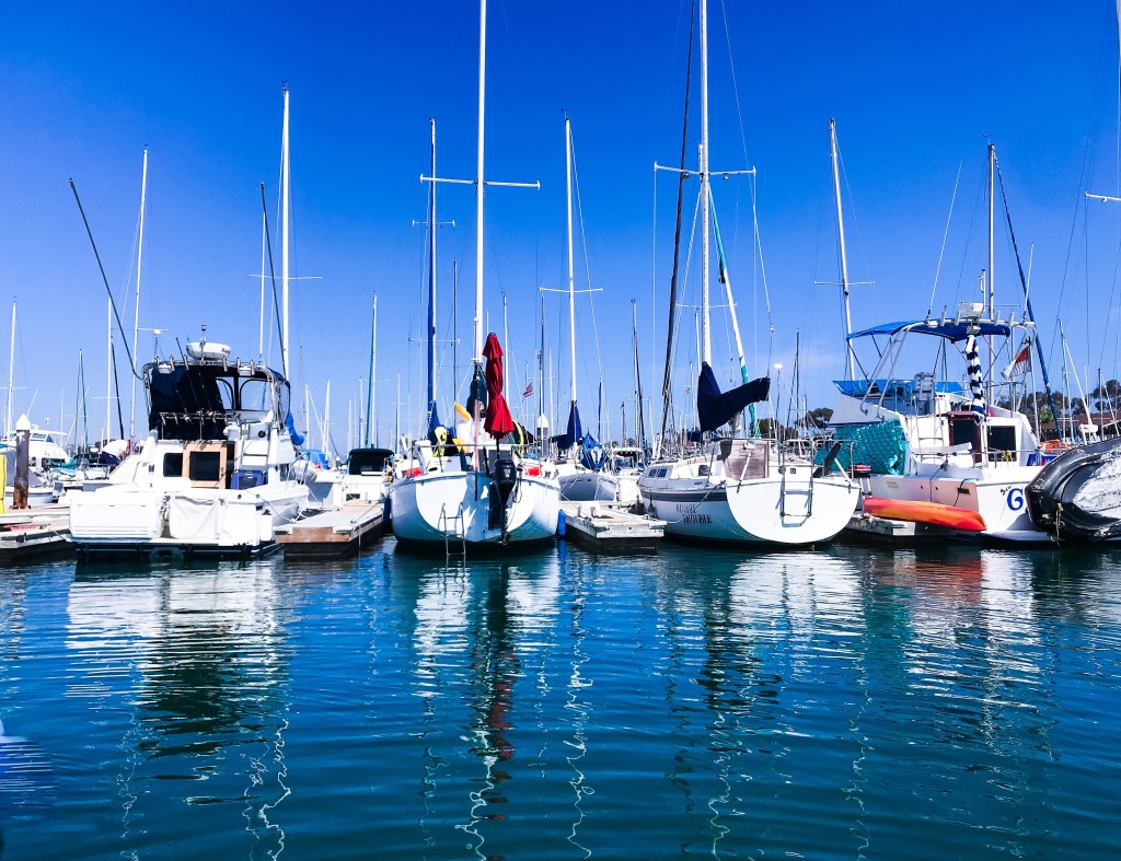 Reedsy Prompts – Laurel E. Cole